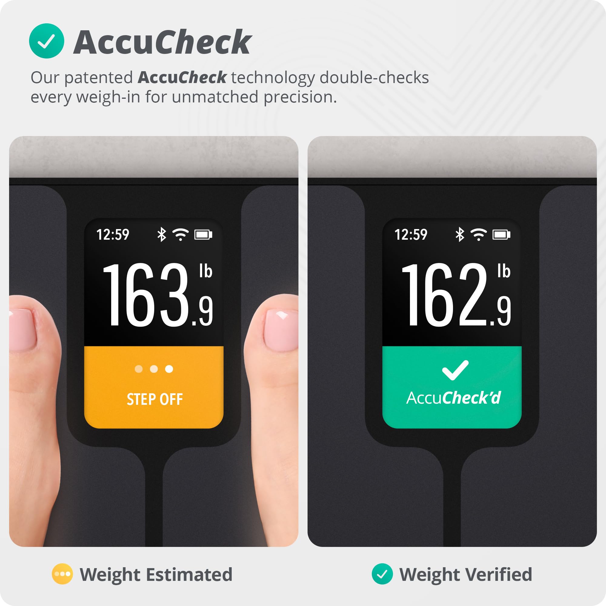 Snapklik.com : Greater Goods Smart Scale Track Your Weight Loss Journey