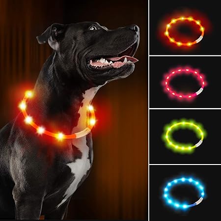 Amazon.com : BSEEN LED Dog Collar, USB Rechargeable, Glowing pet Dog ...