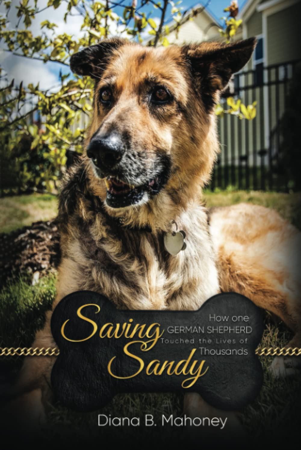 Saving Sandy: Mahoney, Diana B.: 9781961186040: Amazon.com: Books