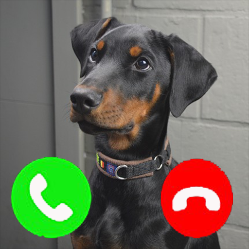 Doberman Fake Call Prank ( Funny Pet Calling Prank ) - Gag fake Prank ...