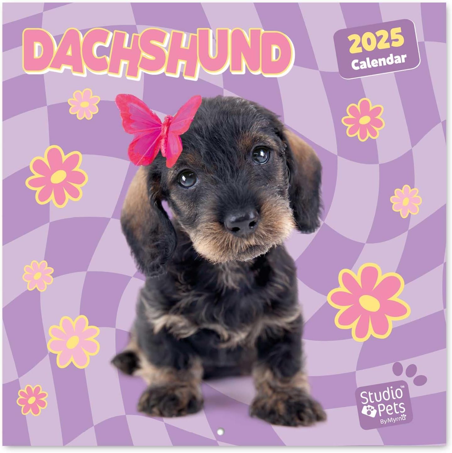 Dachshund Slim 2025 Slimline Wall Calendar | Dog Breed Calendar ...