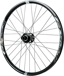 Amazon.com : 24" 26" 27.5" 29" Mountain Bike Rear Wheel Thru Axle 12 * 142mm Disc Brake Wheelset ...
