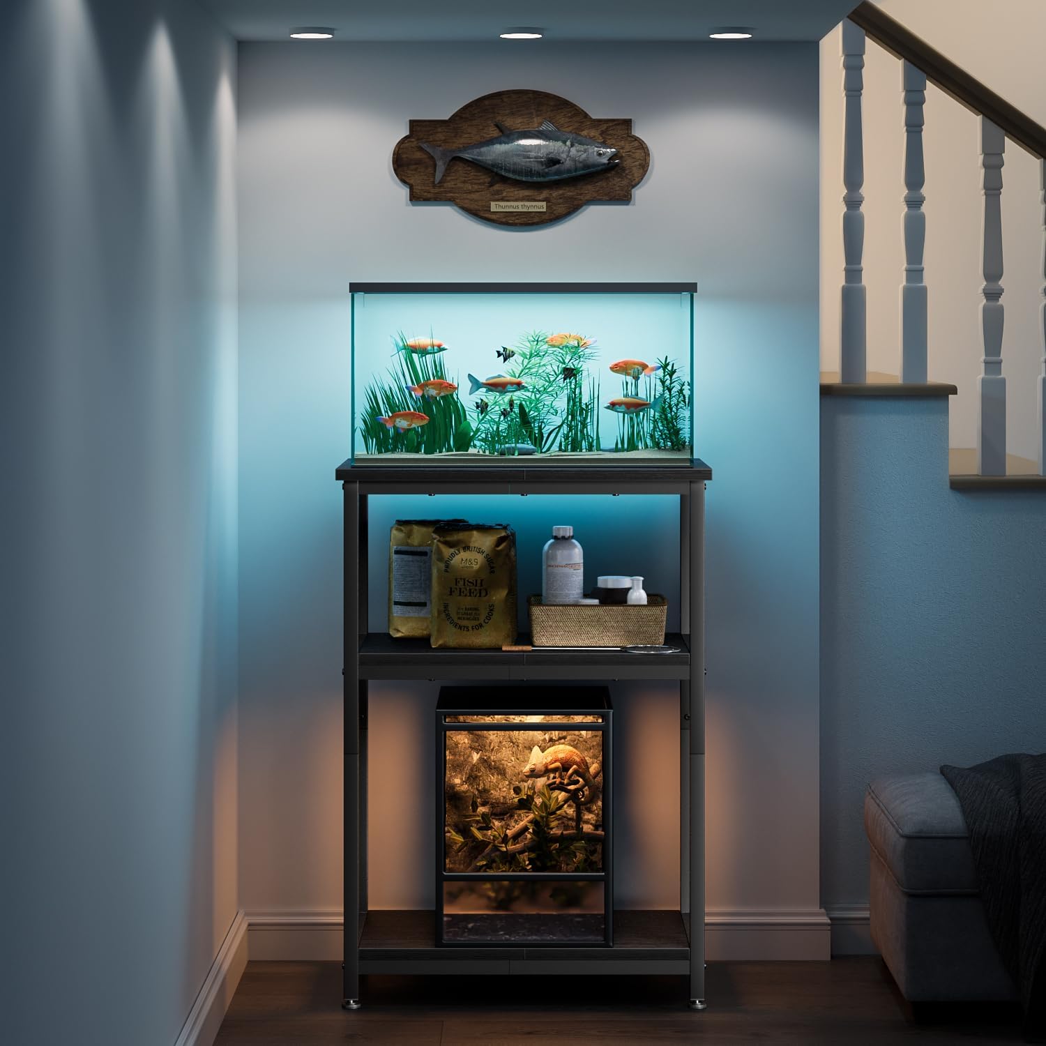 Amazon.com: APPOLYN 5-10 Gallon Fish Tank Stand, Metal Aquarium Stand ...