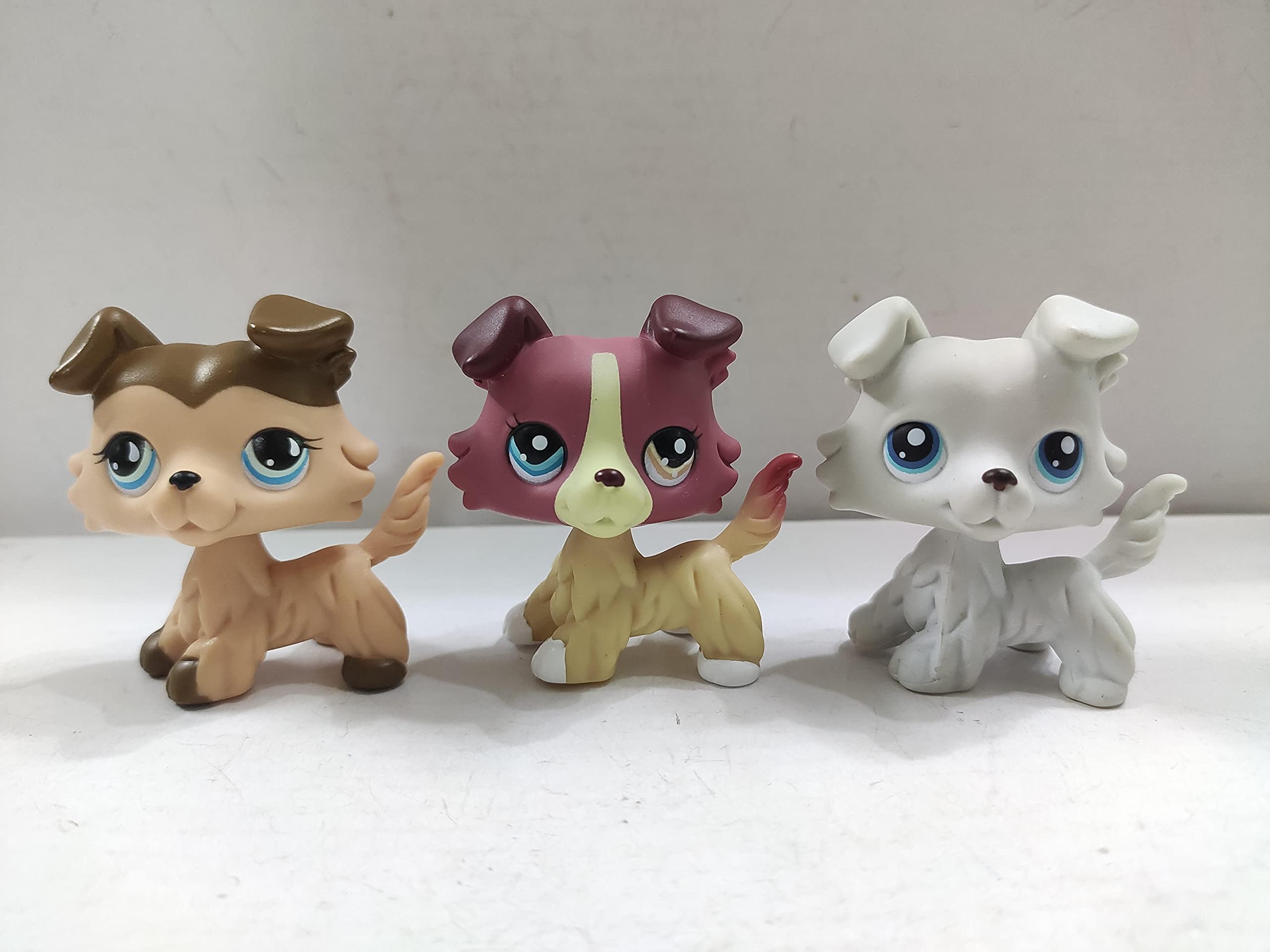How Do Lps Real Collie Looks