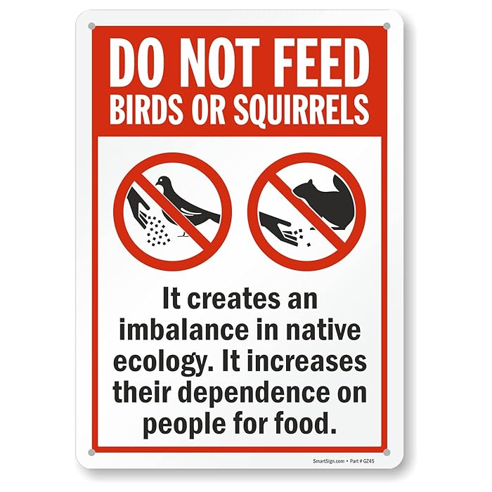 Buy SmartSign 14 x 10 inch “Do Not Feed Birds Or Squirrels - It Creates ...