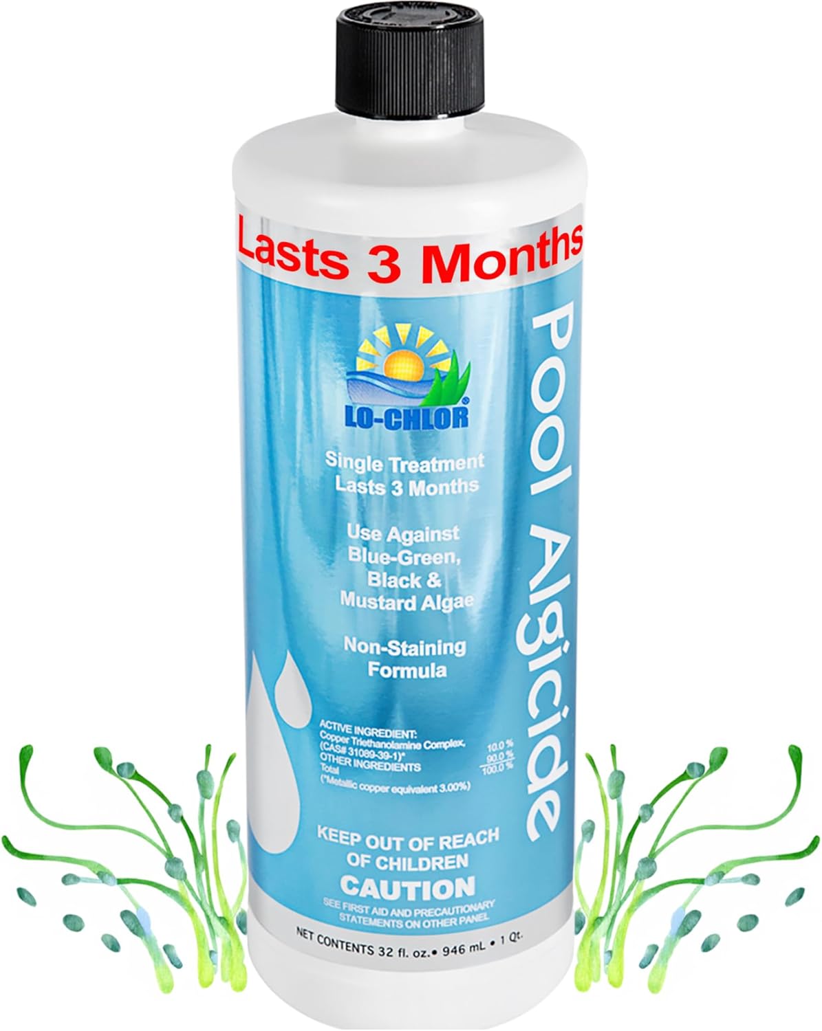 Amazon.com : Lo-Chlor Pool Algaecide for Swimming Pools -Single ...