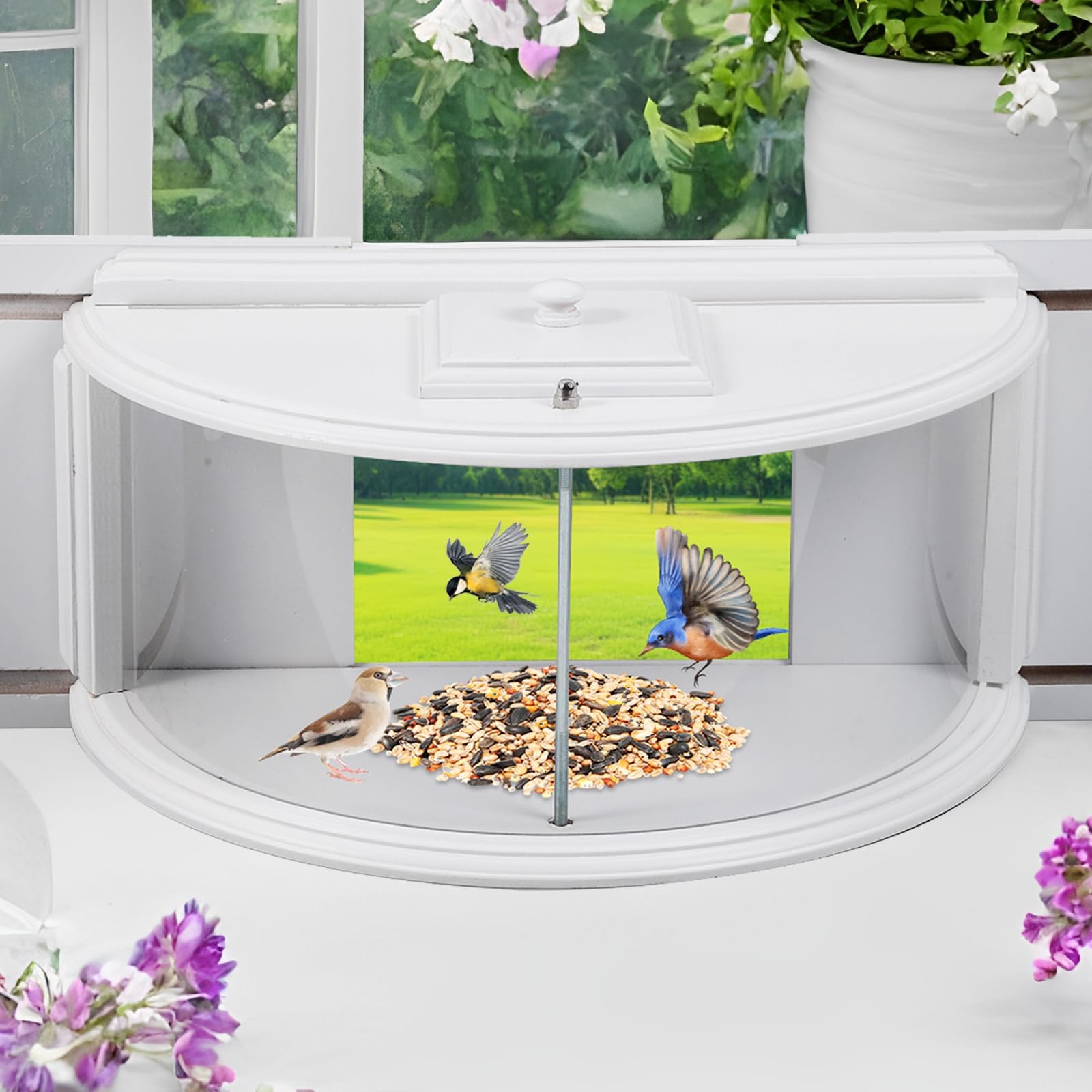 Amazon.com : BAIAPEY in Window Bird Feeders for Viewing - 180° Clear ...