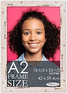 Amazon.com - A2 Frame White Rustic Farmhouse - Wooden 16.5x23.5 Frame ...
