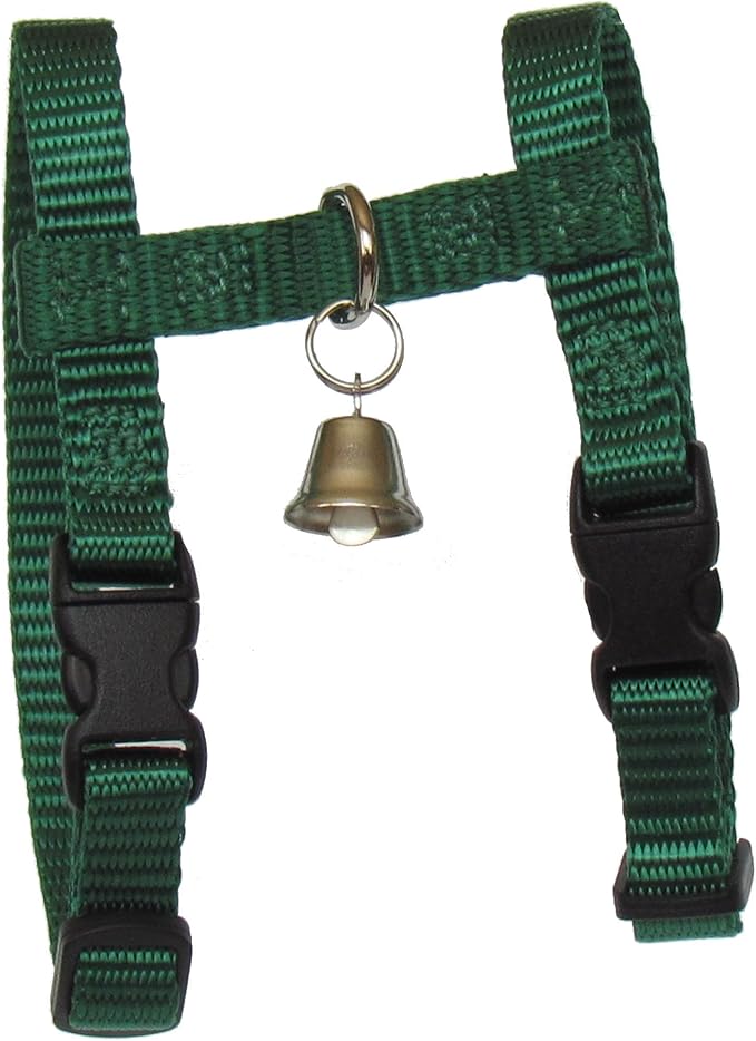 Amazon.com : Sandia Pet Products 3/8' REGULAR Hunter Green Ferret ...