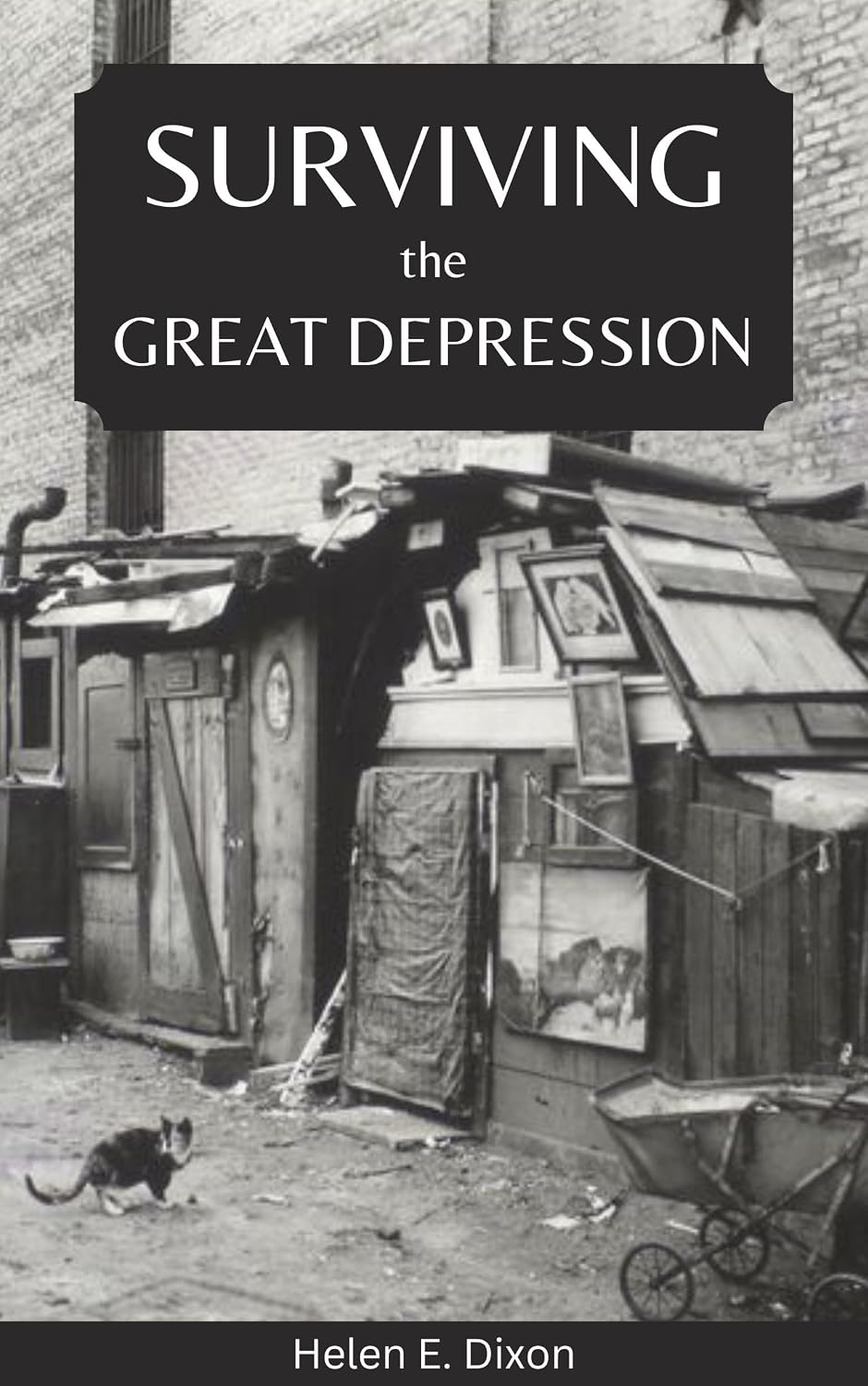 Amazon.com: Surviving the Great Depression eBook : Dixon, Helen E ...