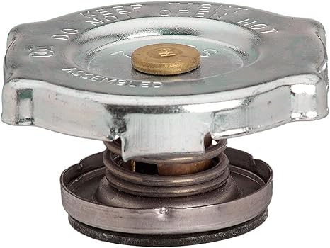 Amazon.com: Cap : Automotive