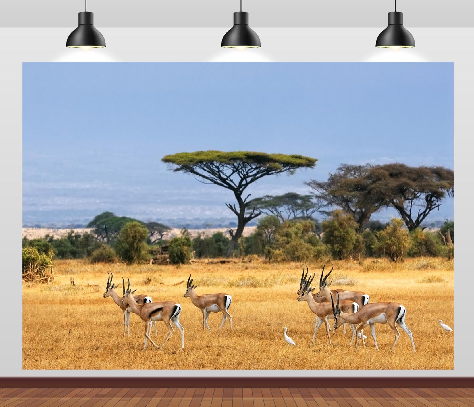 African Safari Landscape Background African Safari Landscapes