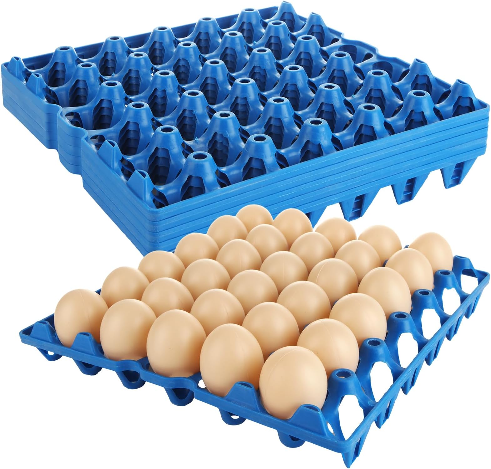 Amazon.com: LOYORTY 12PCS Plastic Egg Trays Egg Crates, Plastic Eggs ...
