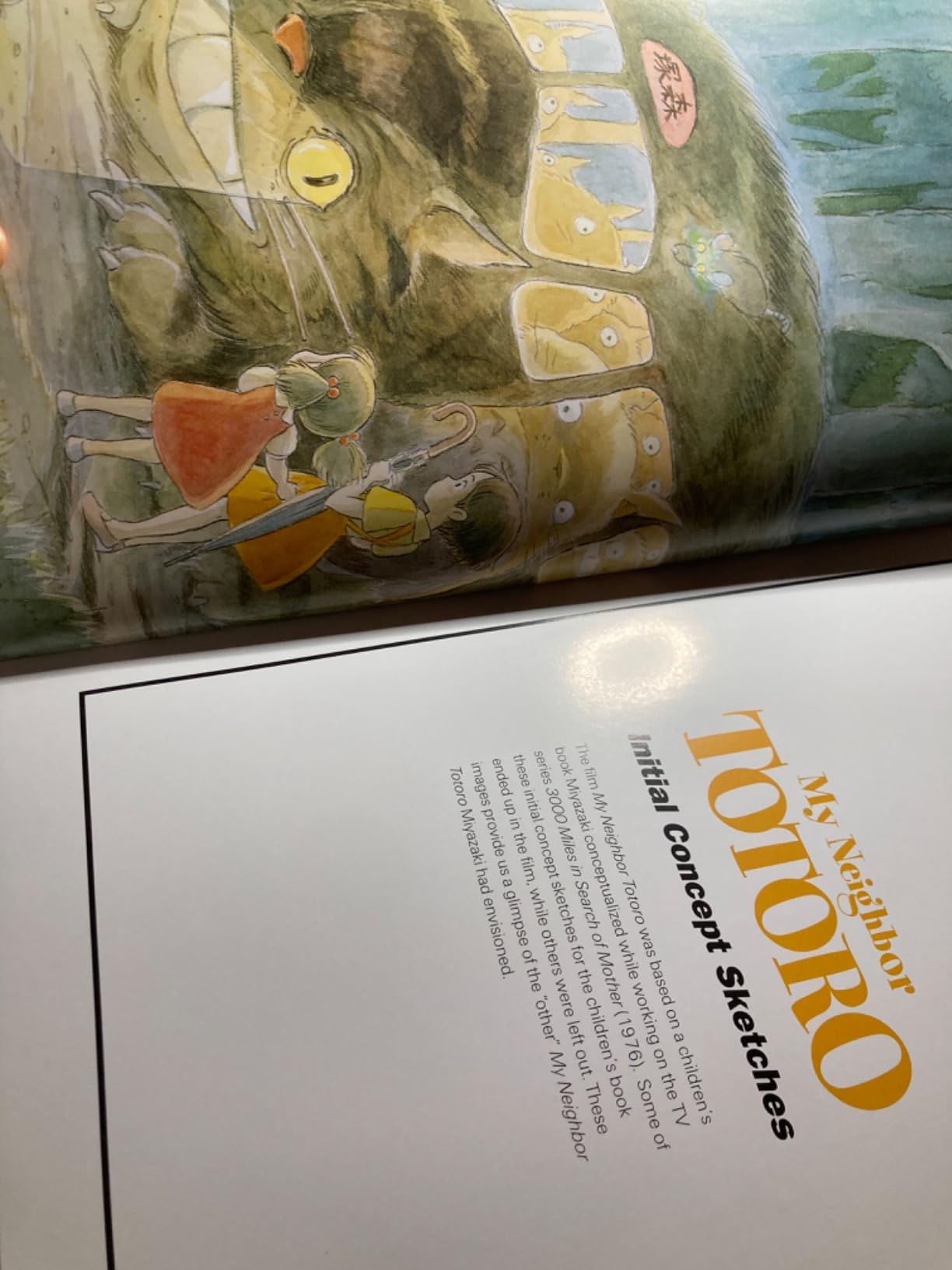 The Art of My Neighbor Totoro : Hayao Miyazaki: Amazon.it: Libri