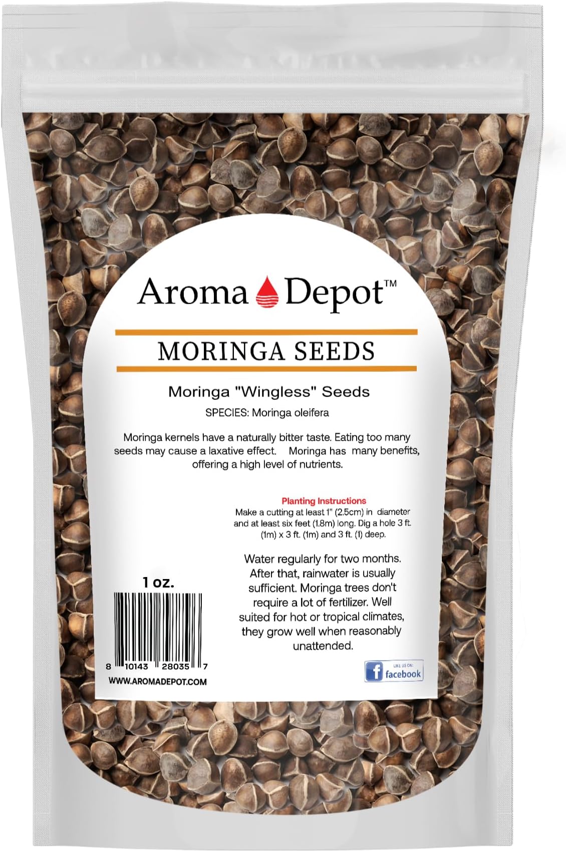 Amazon.com: Moringa Seeds 1oz. (Approx. 100-125) WINGLESS Sun-Dried ...