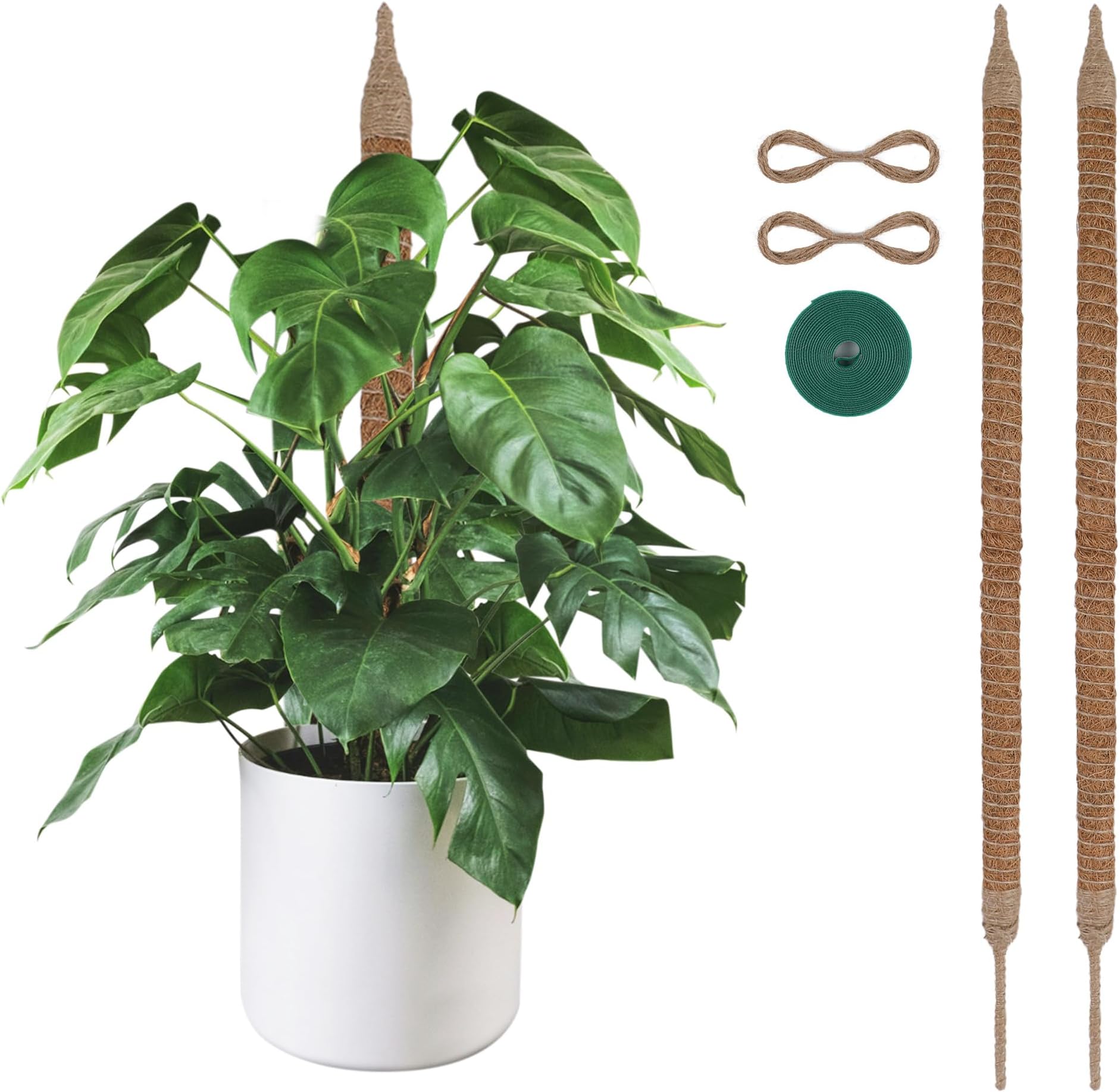 Amazon.com : 2 Pack Moss pole - 46 Inch Moss Pole Indoor - Monstera ...