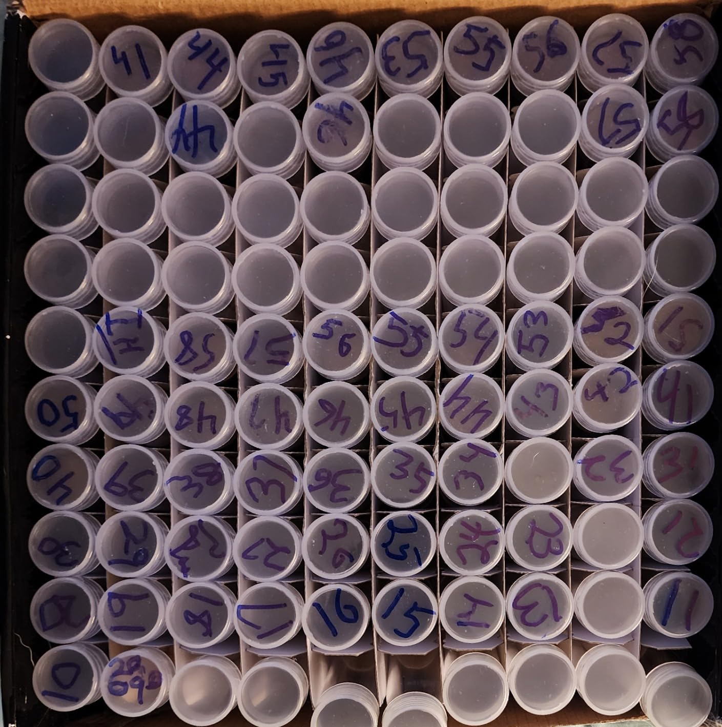 Amazon.com: BCW Penny Coin Tubes - 100 ct : Office Products