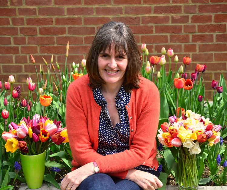 Amazon.co.uk: Jane Brocket: books, biography, latest update