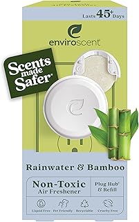 Bamboo's Environmental Impact: Sustainable Benefits And Ecological ...