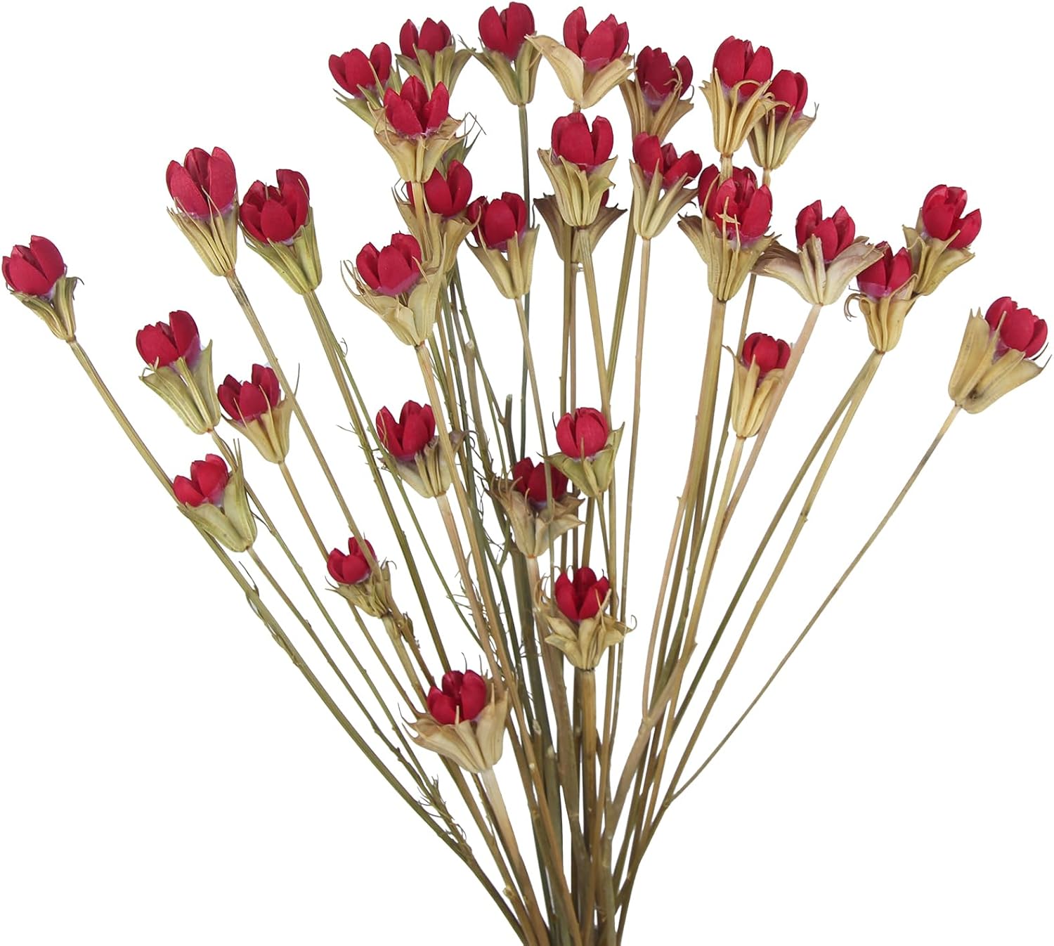 Amazon.com: CISDUEO 2 Pcs Red Dried Flowers for Vase Bouquet Bulk ...