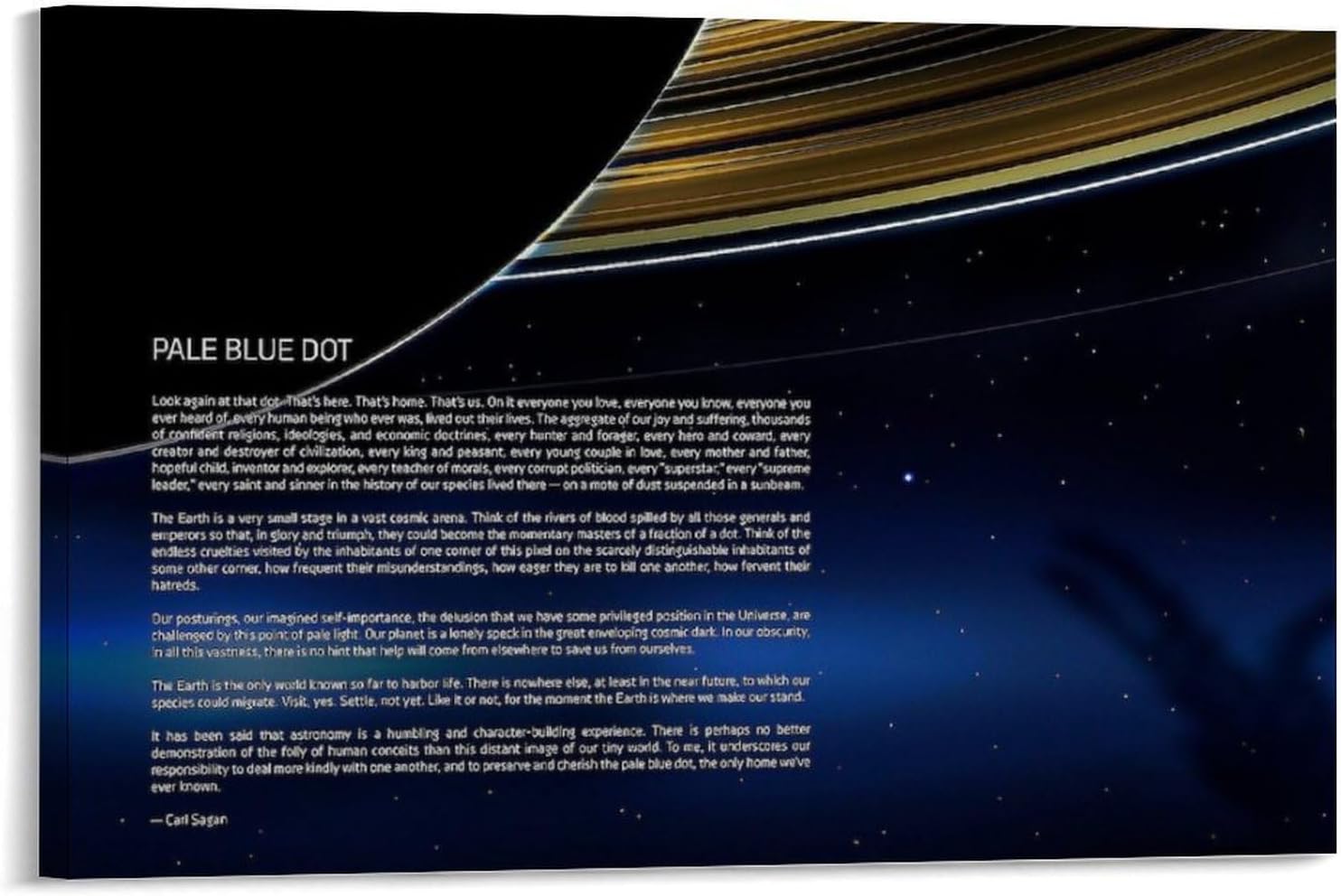 Amazon.com: Pale Blue Dot Poster Carl Sagan Inspirational Quotes ...