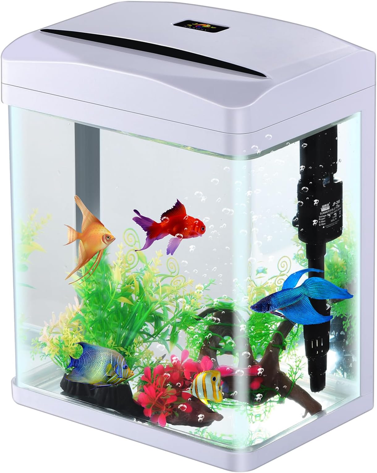 Amazon.com : SANOSY 2 Gallon Aquarium Starter Kit Small Glass Betta ...