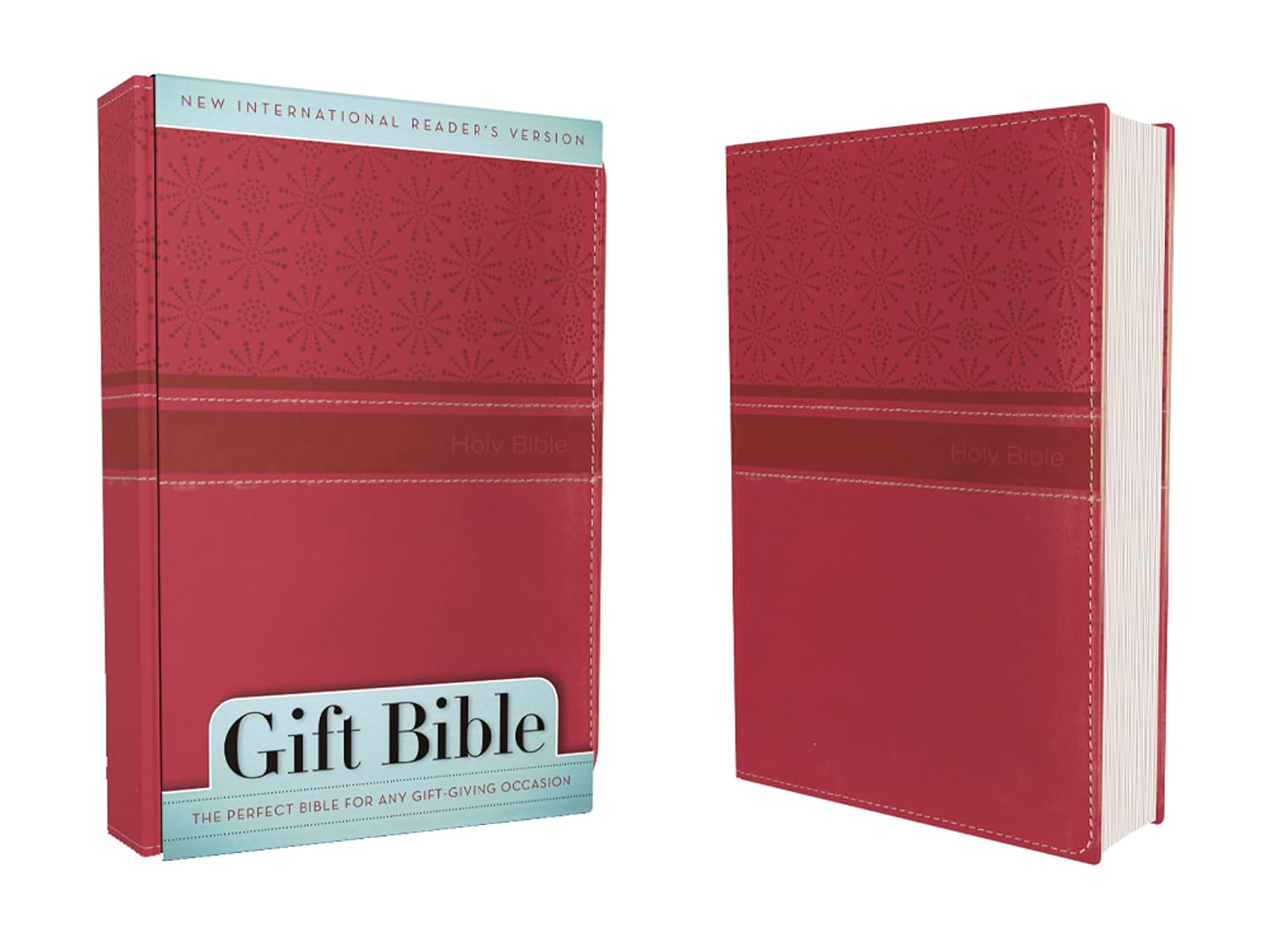 NIrV, Gift Bible, Leathersoft, Pink: Zondervan: 9780310744207: Amazon ...