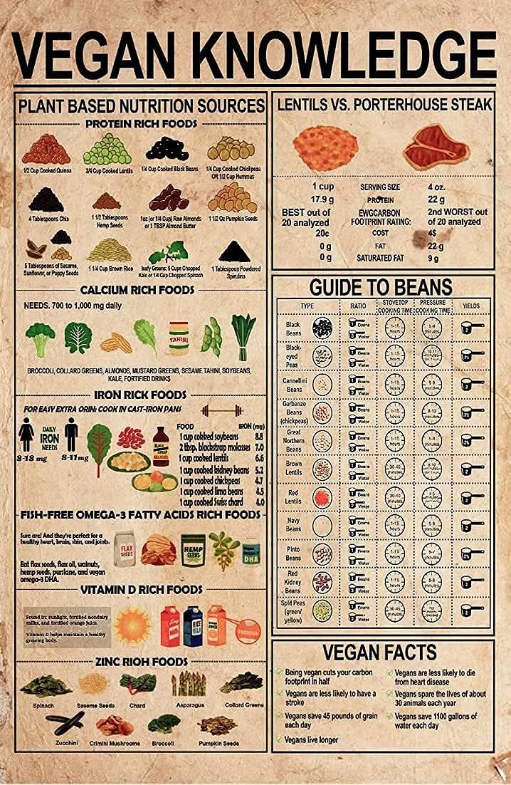Amazon.com: Education Poster Vegan Knowledge Metal Tin Sign Plant Based ...