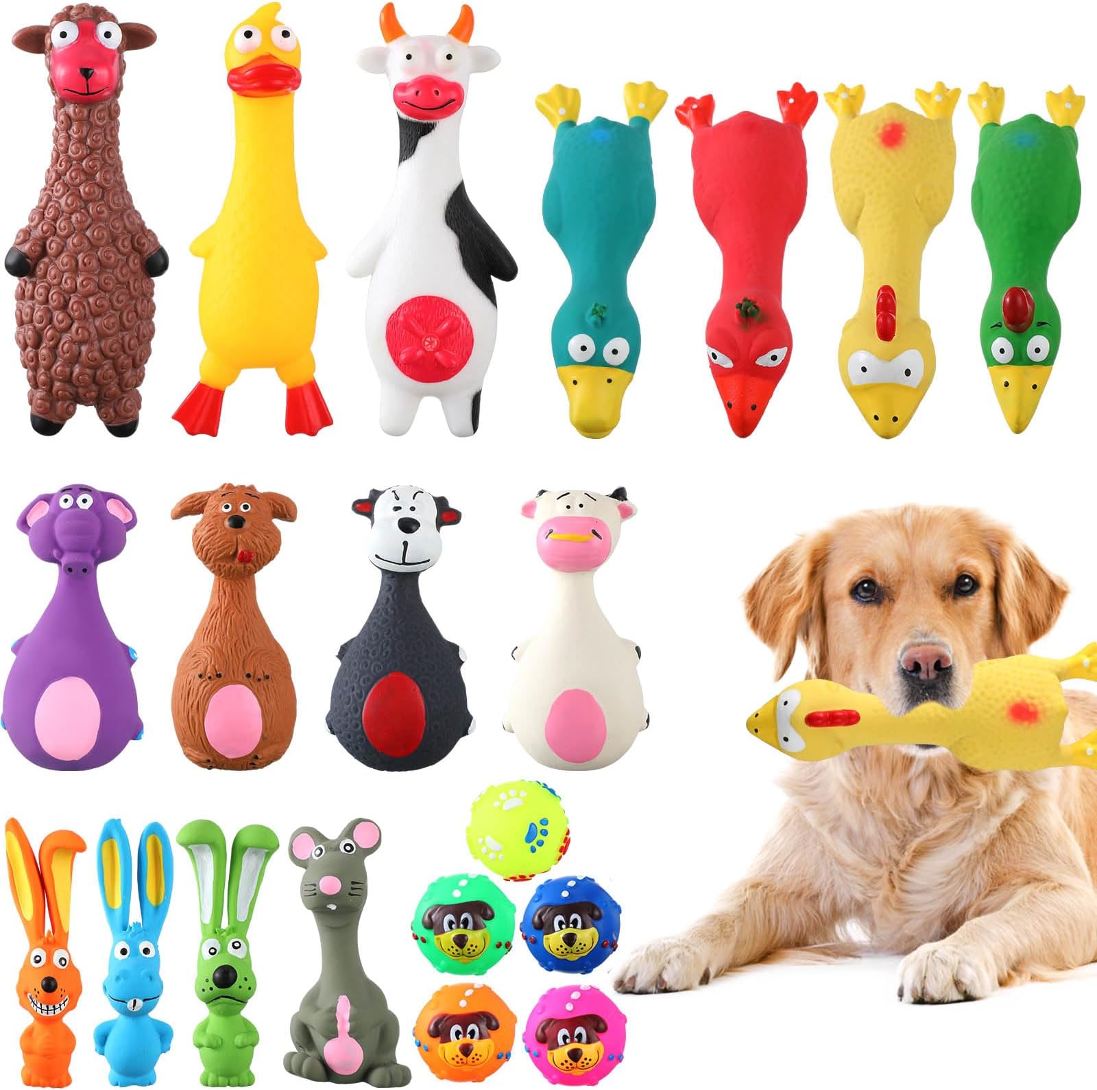 Pet Supplies : Shappy 20 Pcs Squeak Latex Dog Toys, Rubber Chew Toy ...