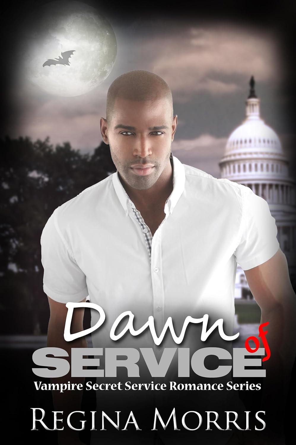 Dawn of Service: A Vampire Secret Service Romance Series (Vampire ...