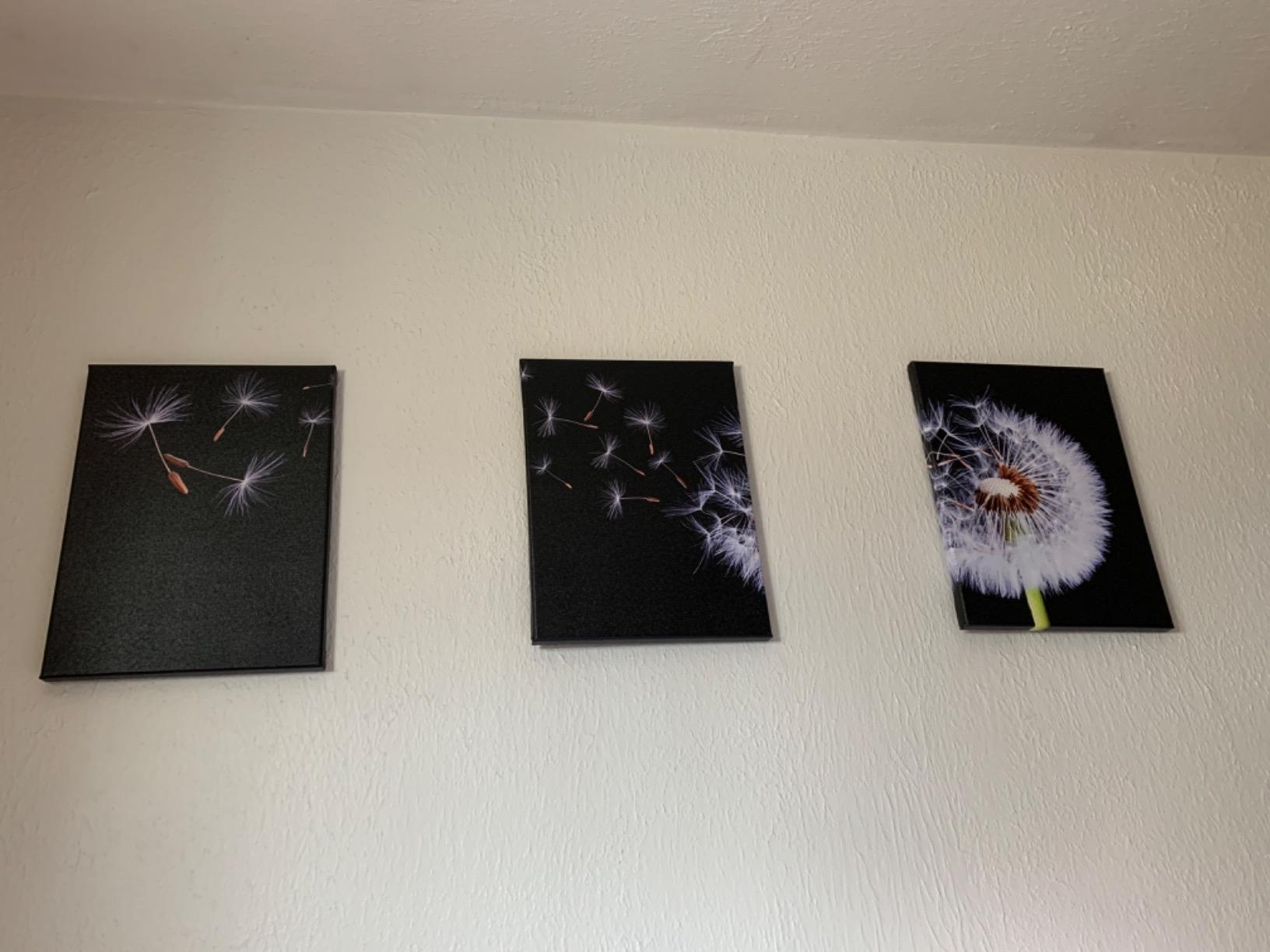Amazon.com: iHAPPYWALL 3 Pieces Dandelion Flower Canvas Wall Art Black ...