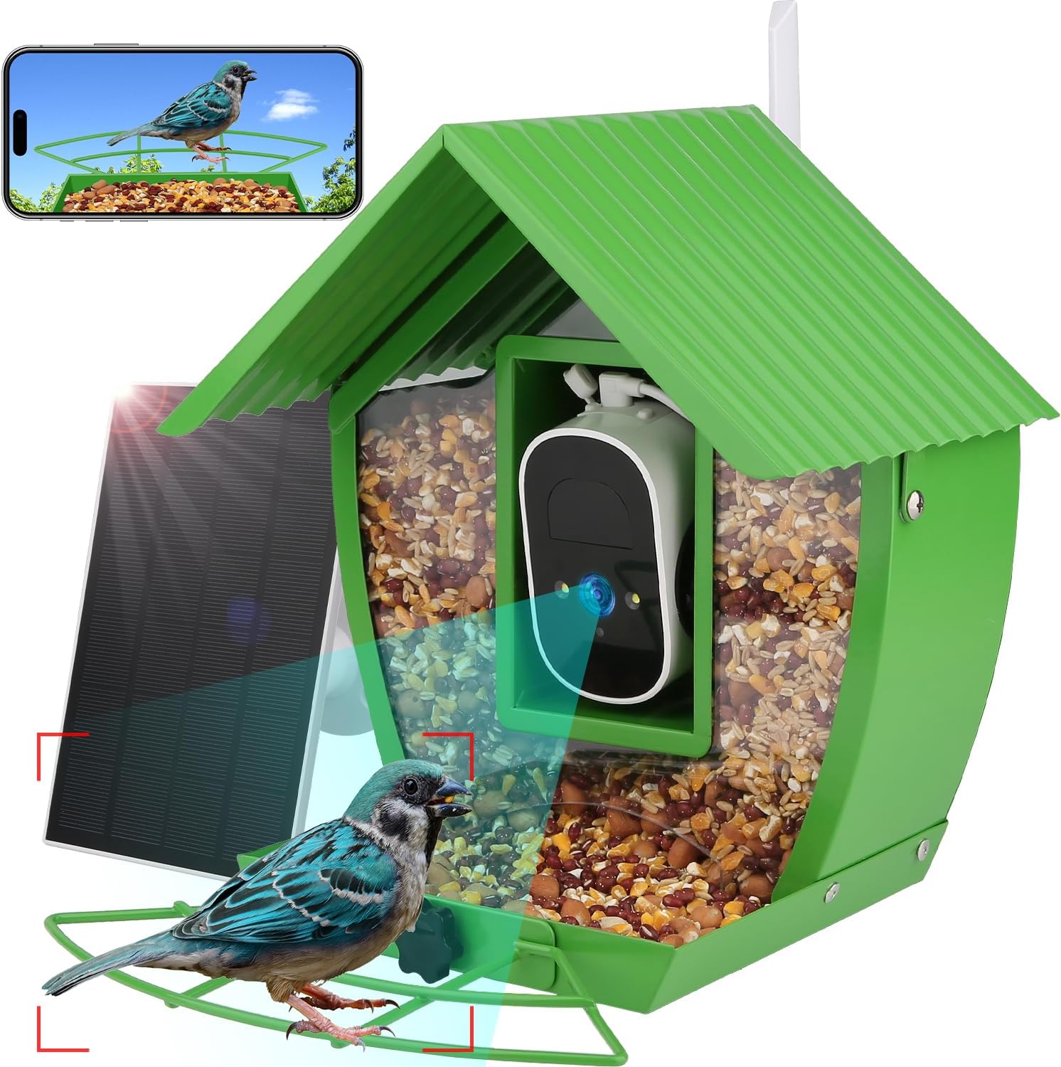 Smart Bird Feeder with Camera, AI Identify Bird Philippines | Ubuy