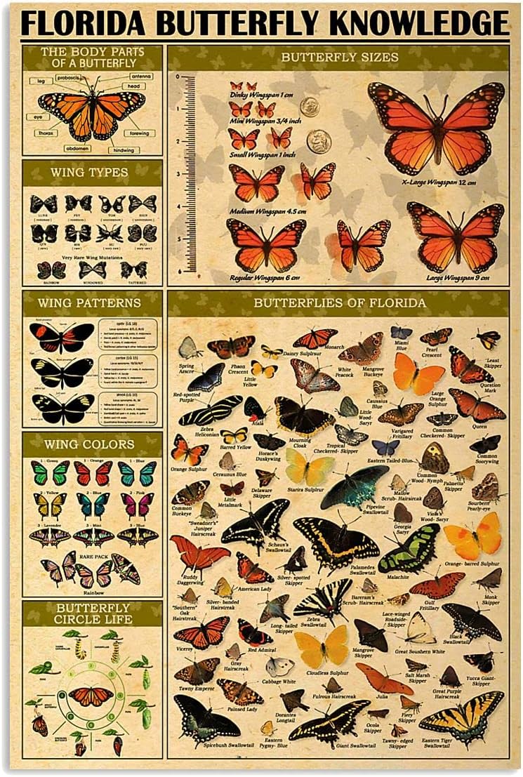 Amazon.com: Florida Butterfly Knowledge Metal Tin Signs Florida ...