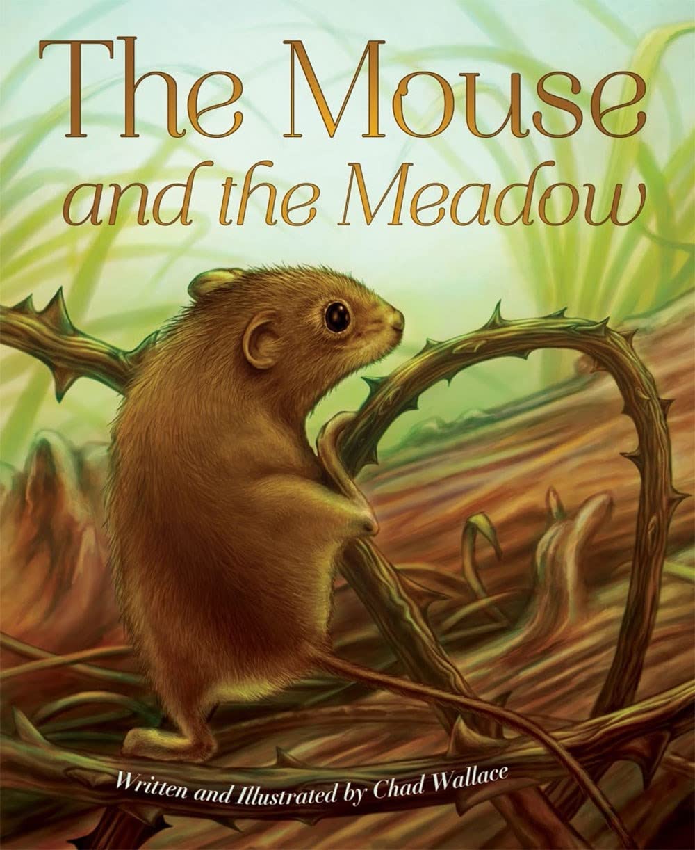 The Mouse and the Meadow: Wallace, Chad: 9781584694823: Amazon.com: Books