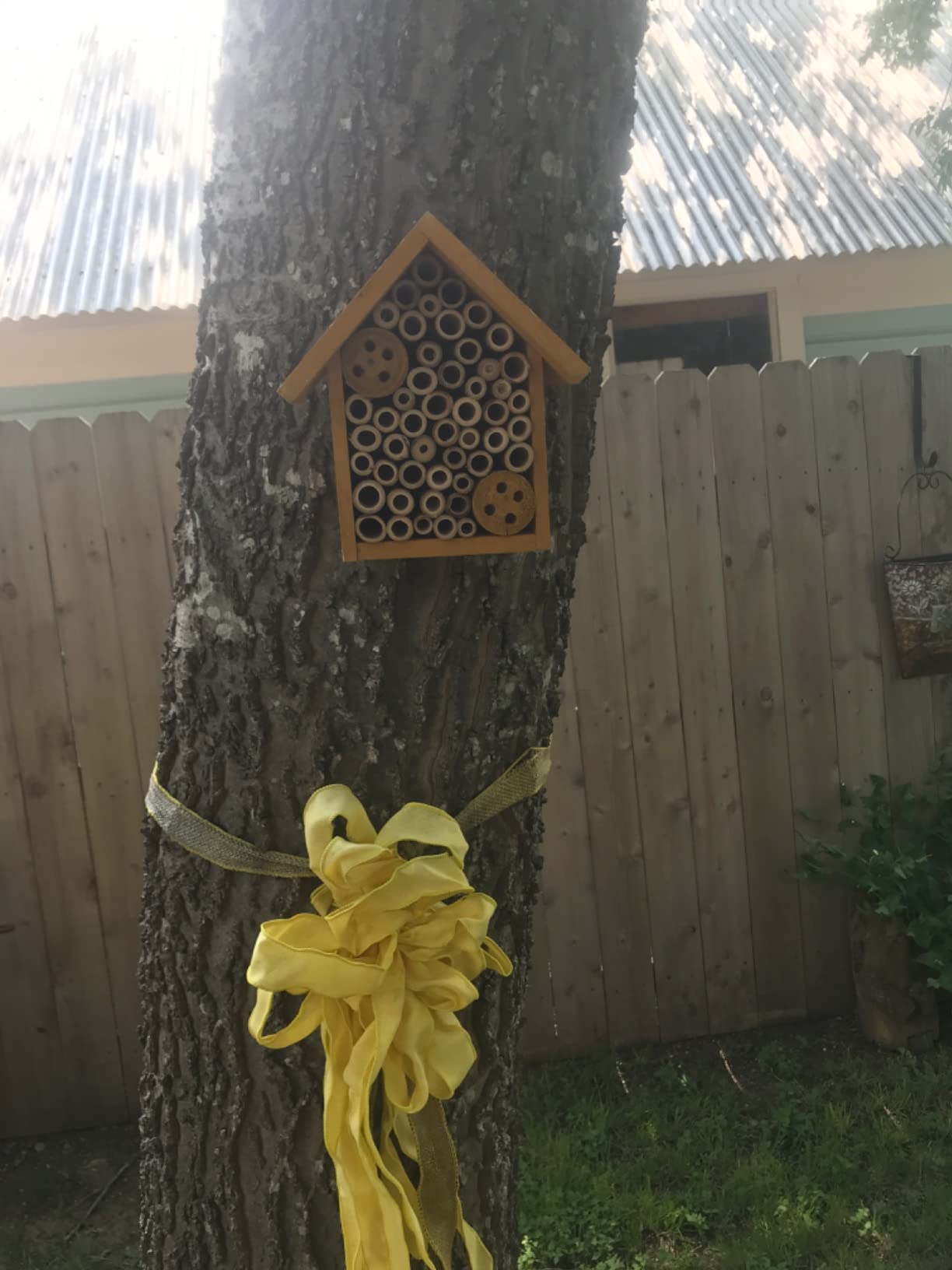 $8/mo - Finance Mason Bee Houses and Supplies : Bamboo Tube Bee Hotel ...