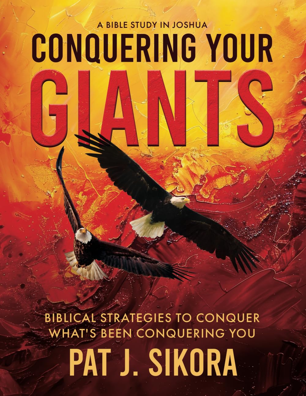Conquering Your Giants: Biblical Strategies to Conquer What's Been ...