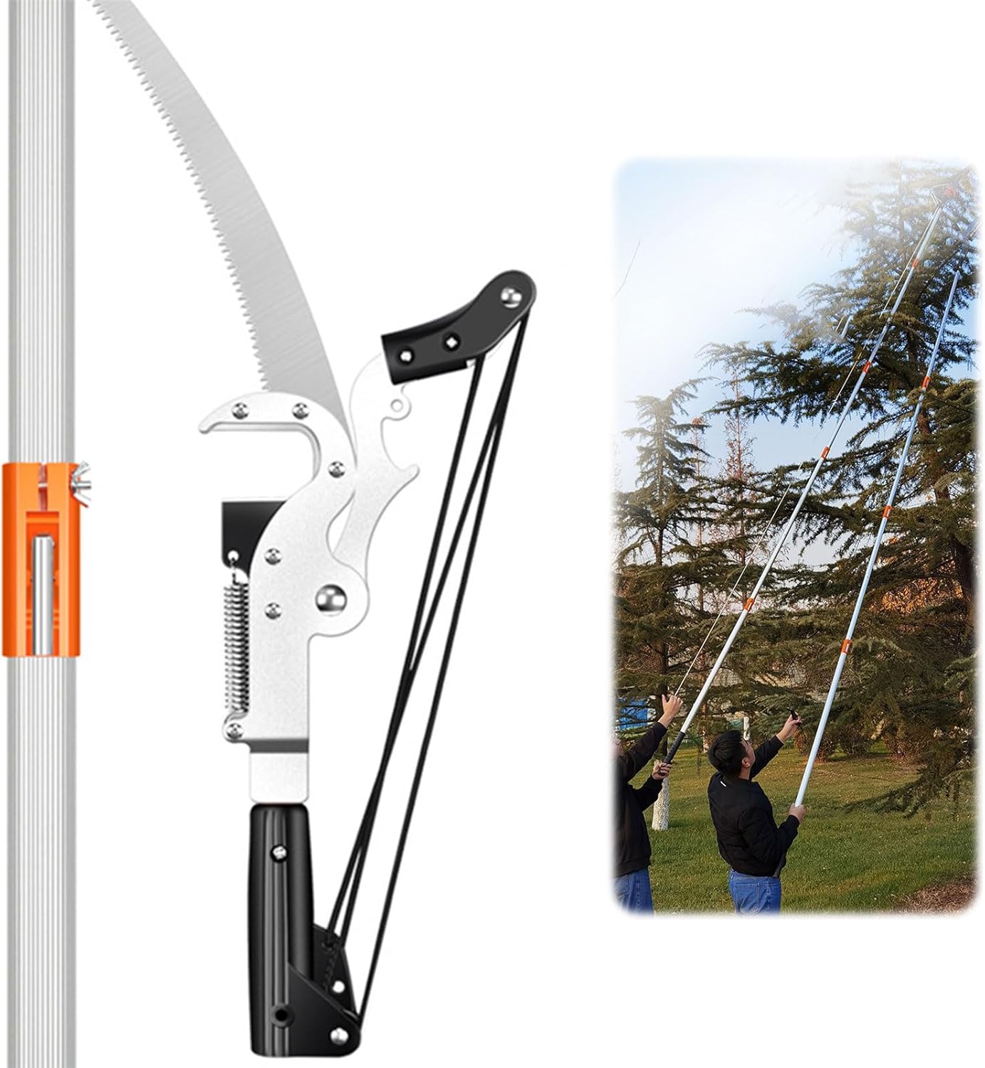 Amazon.com: FVTVHEV Manual Pole Saw for Tree Trimming, Tree Pruner ...