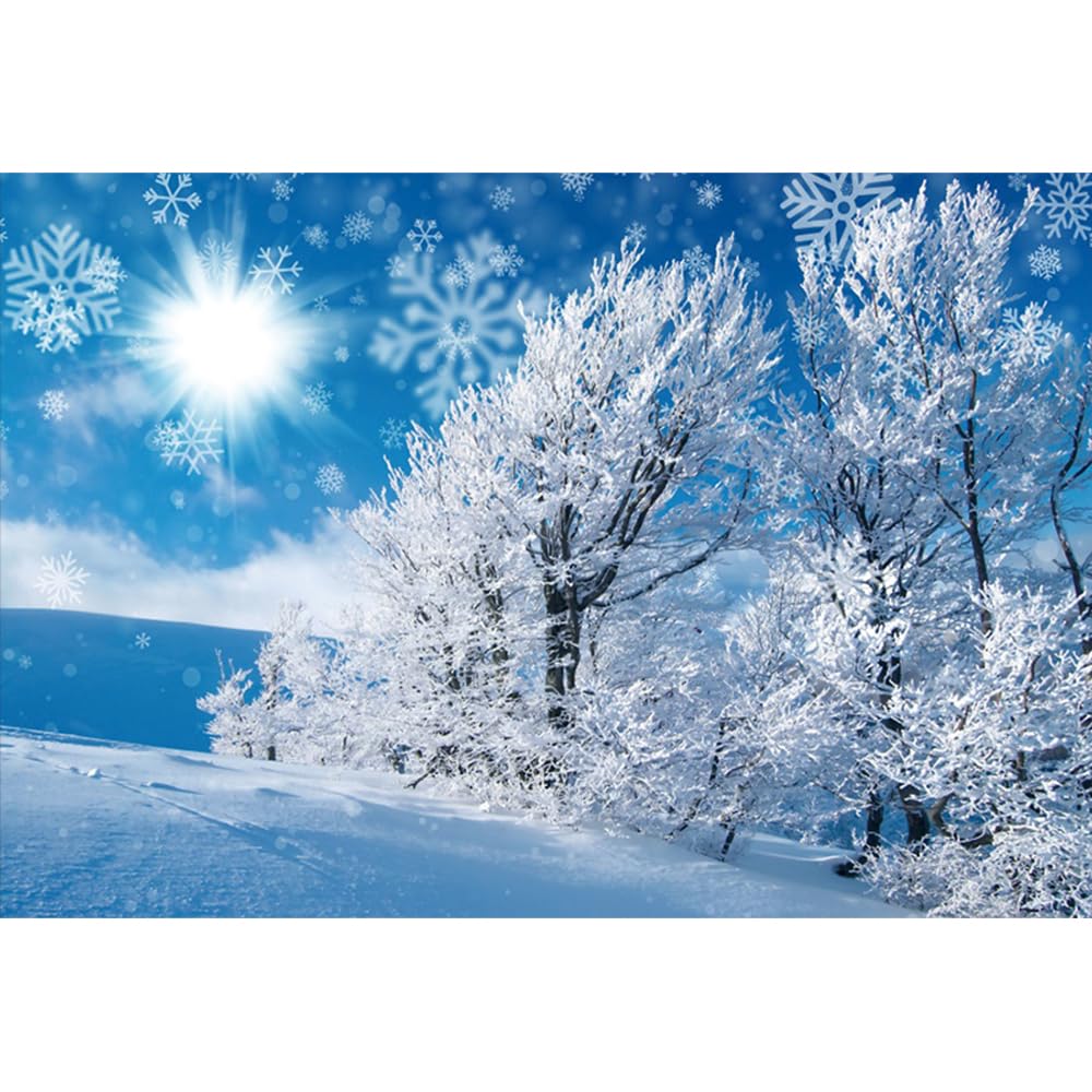 Winter Wonderland Backgrounds