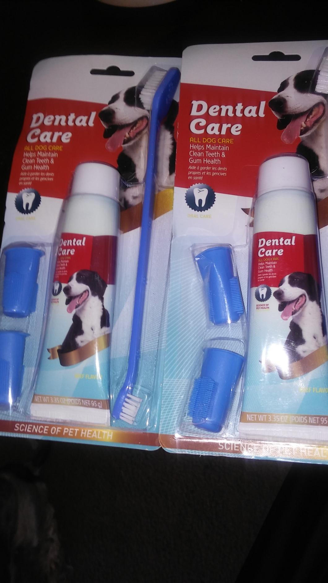 Amazon.com: CooZero Dog Dental Care Kit, 2 Pack Dog Toothpaste and Dog ...