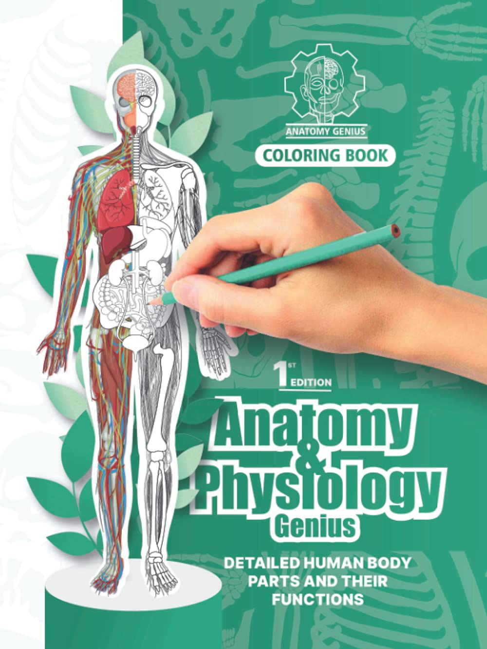 Buy Anatomy and Physiology Genius Coloring Book: Detailed human body ...