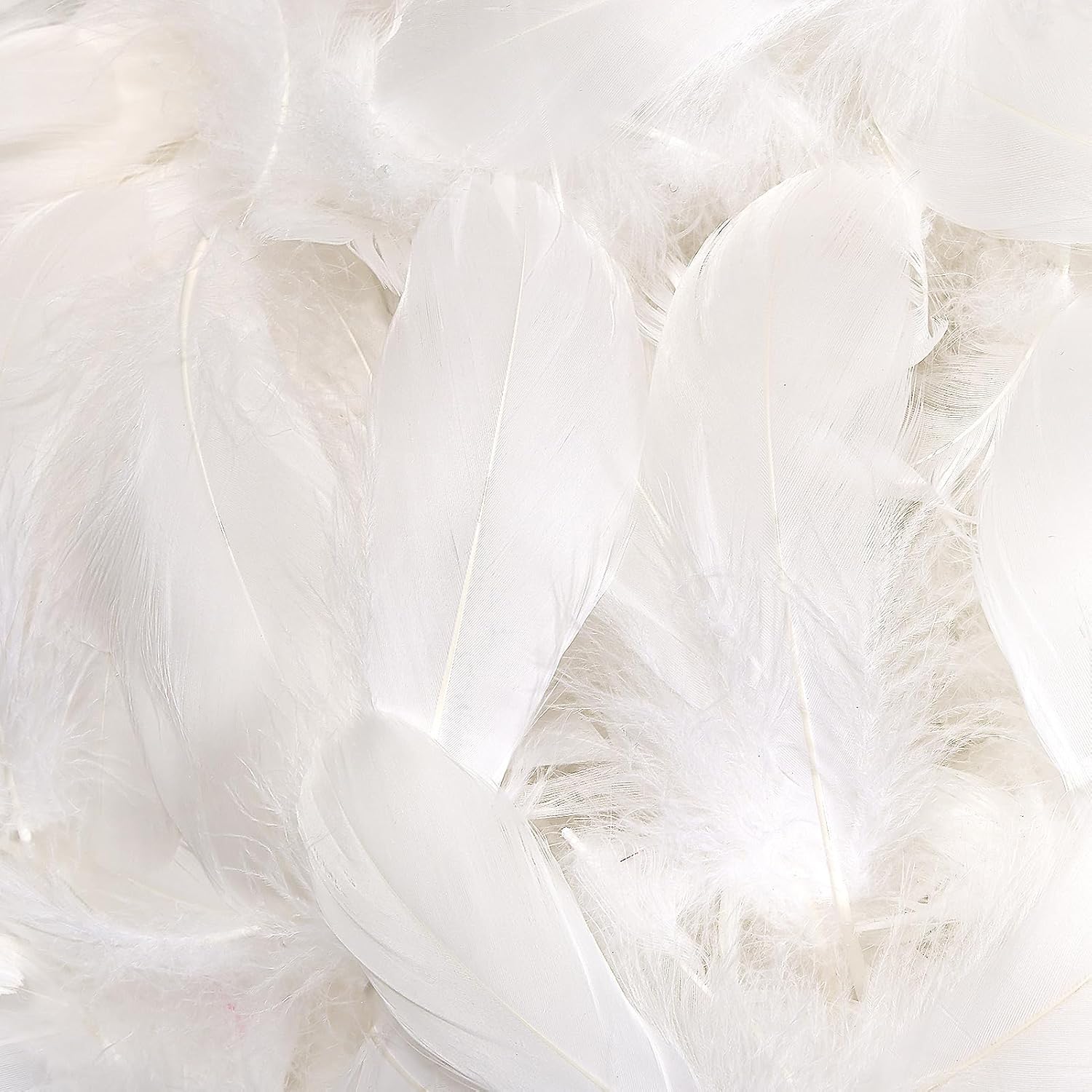Amazon.com: THARAHT 360pcs White Feathers 3-5 inch Craft Feathers ...