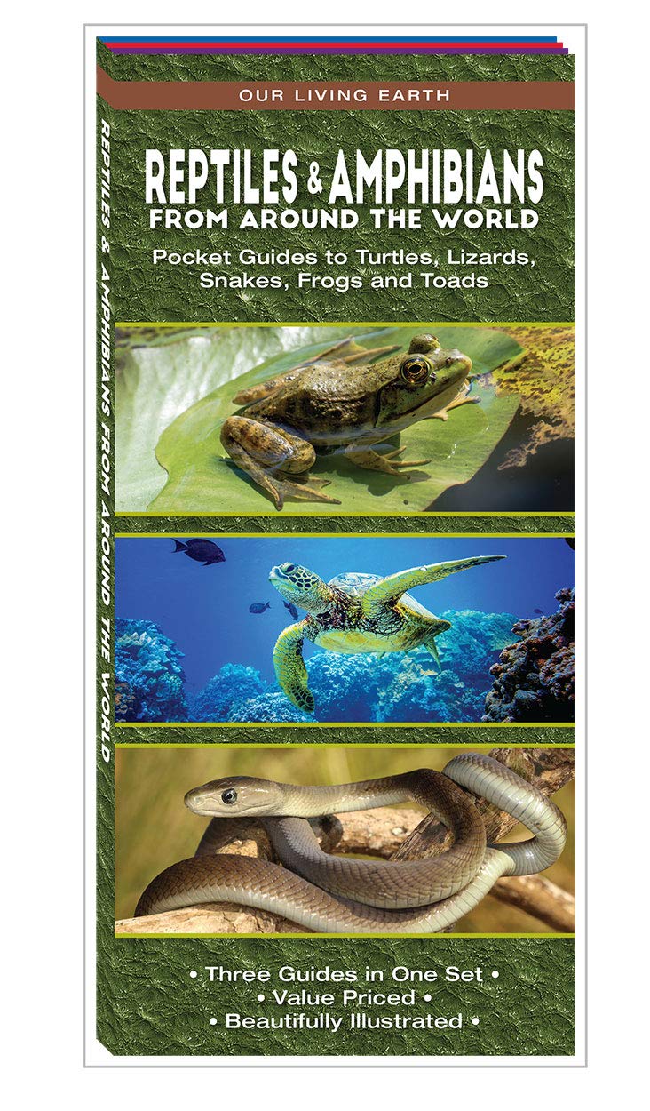 Buy Reptiles & Amphibians from Around the World: Pocket Guides to ...