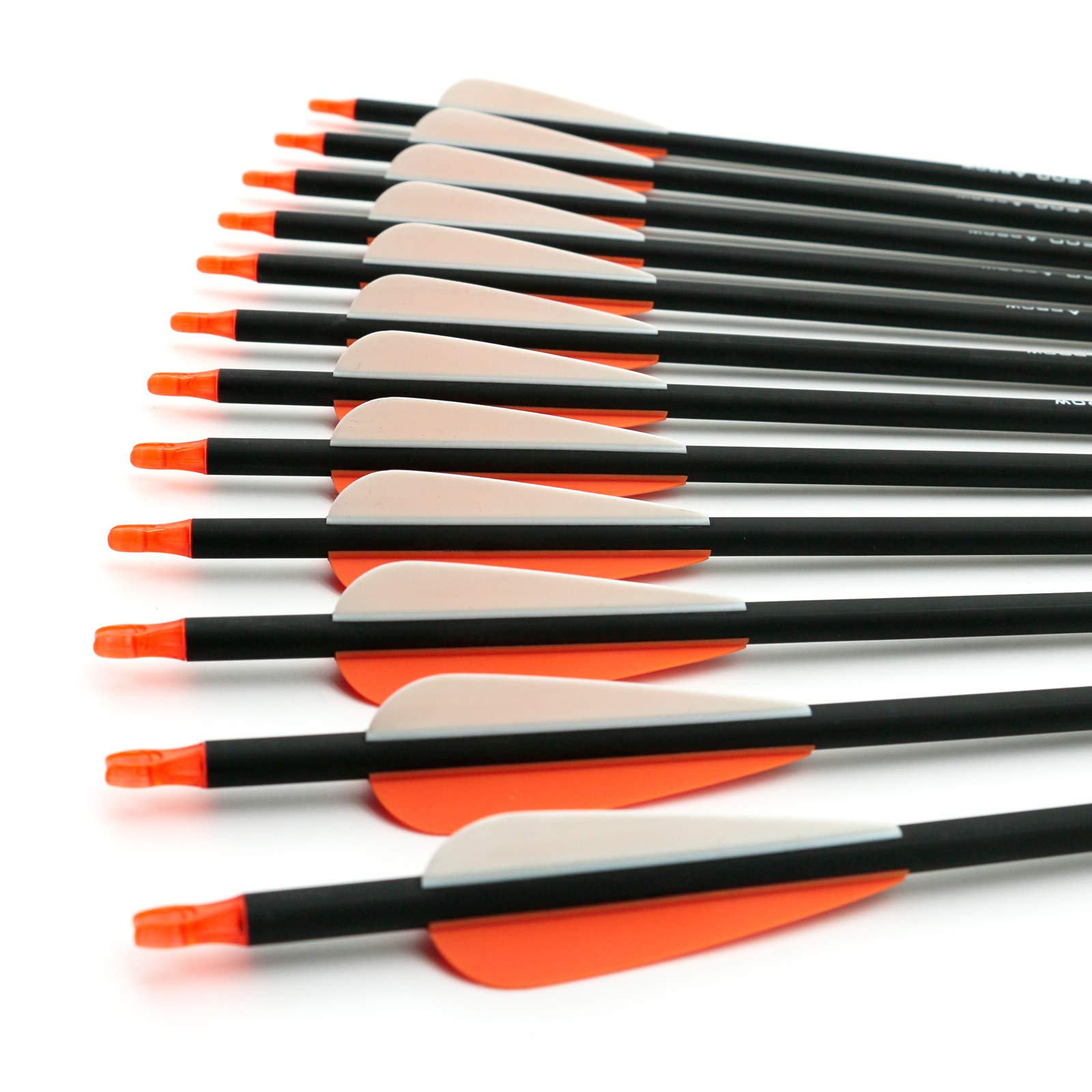 ANTSIR 30 Inch Carbon Arrows Practice Targeting Arrows with Removable ...