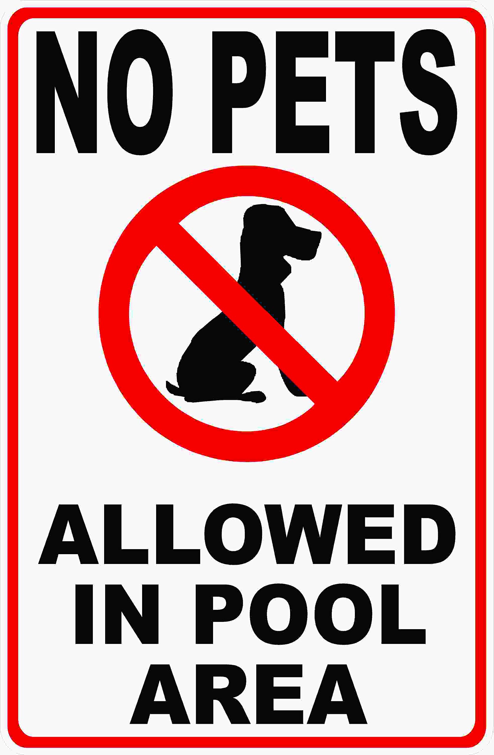 Are Dogs Allowed In The Pool Area