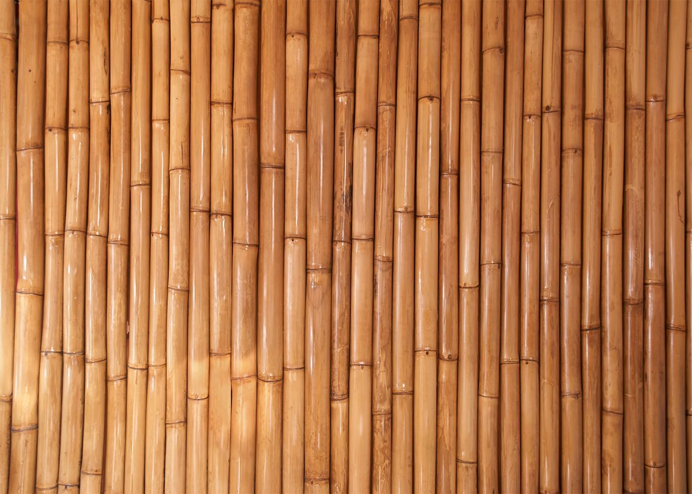 Amazon.com : DULUDA 10x8 FT Bamboo Backdrop Tropical Hawaiian Backdrop ...