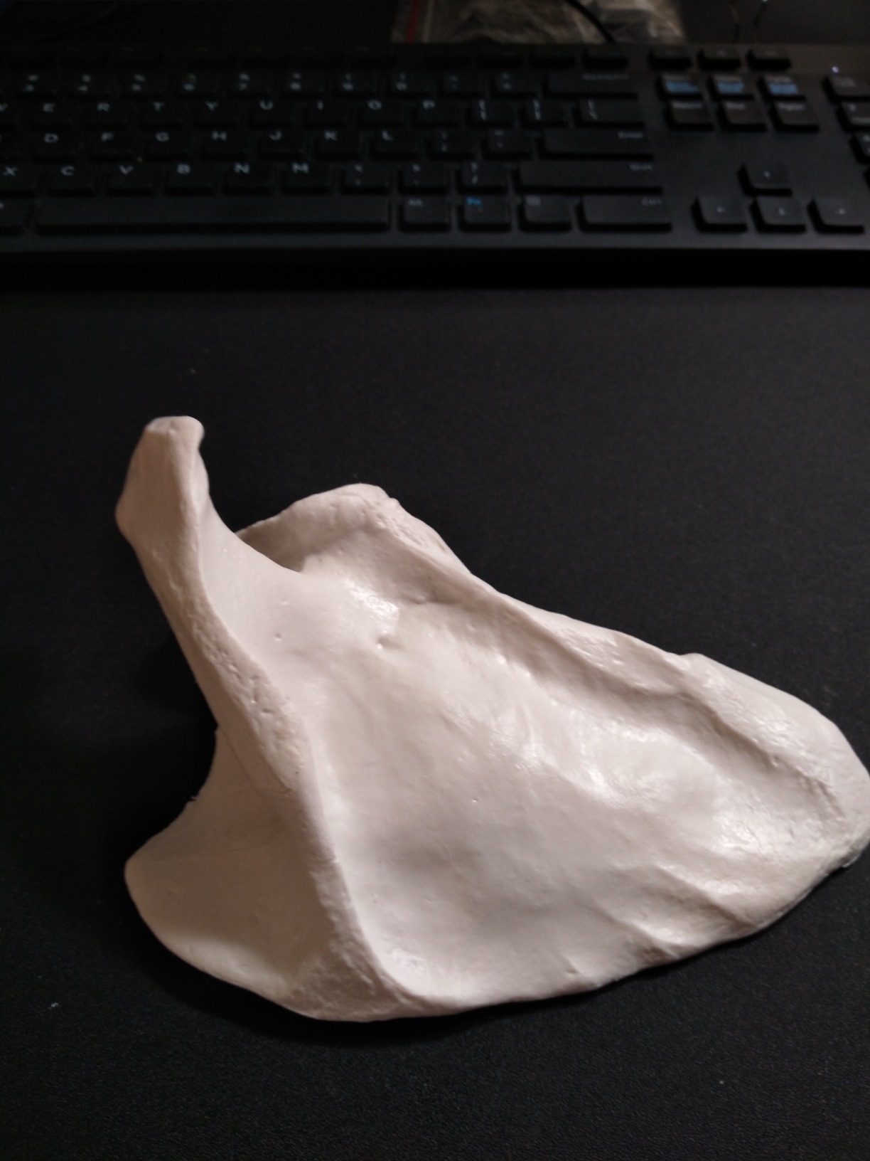 Axis Scientific Shoulder Anatomy Model of Right Scapula Bone | Shoulder ...