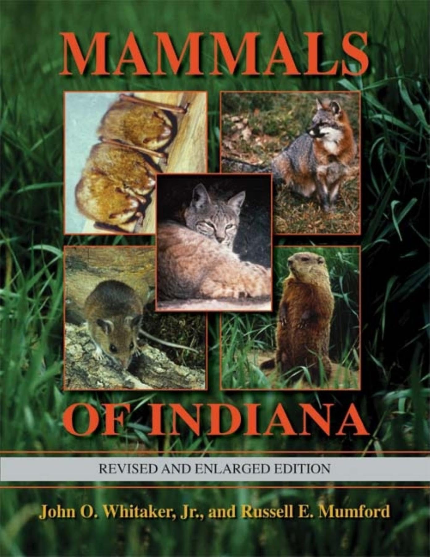 Mammals of Indiana, Revised and Enlarged Edition (Indiana Natural ...