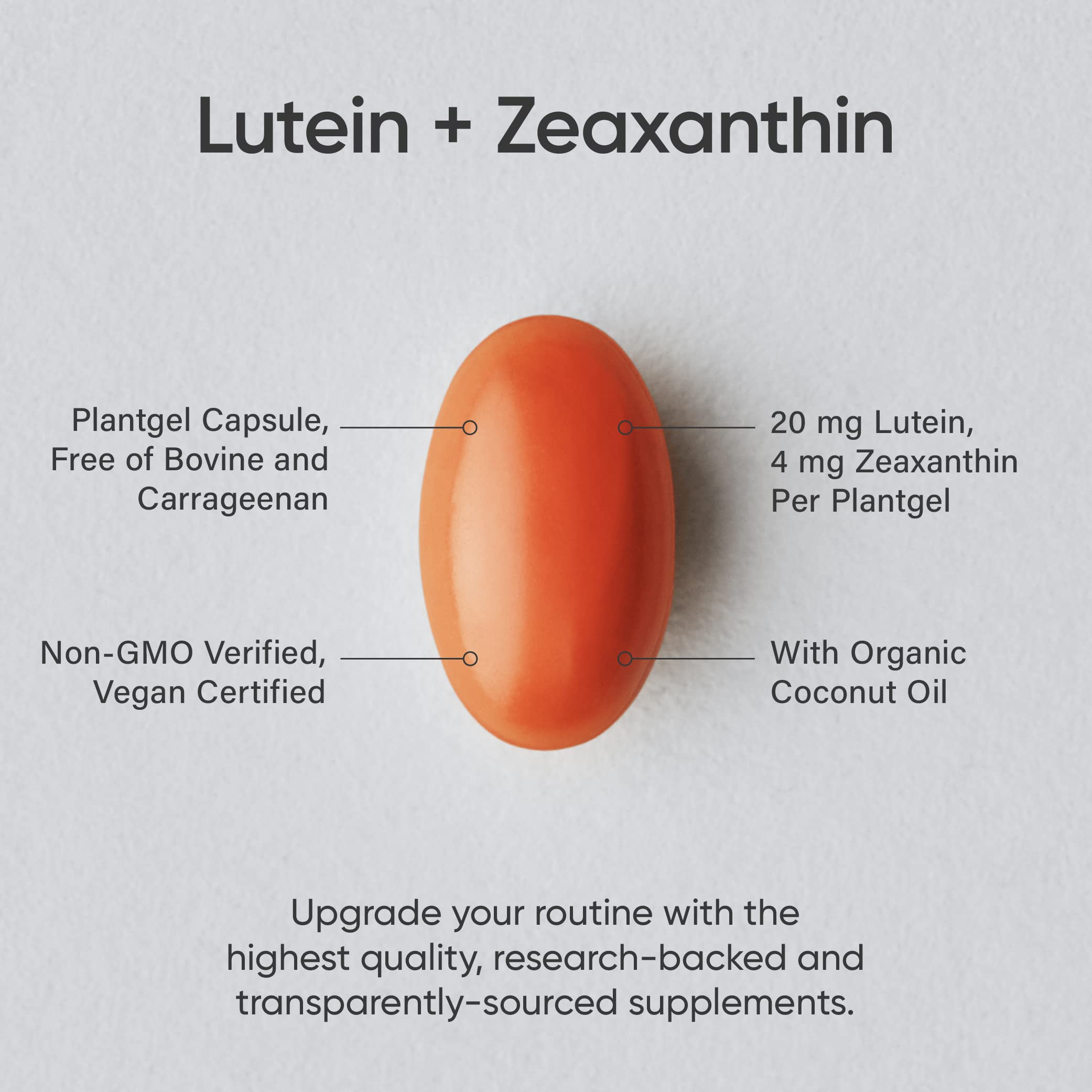Snapklik.com : Sports Research Vegan Lutein + Zeaxanthin (20mg)