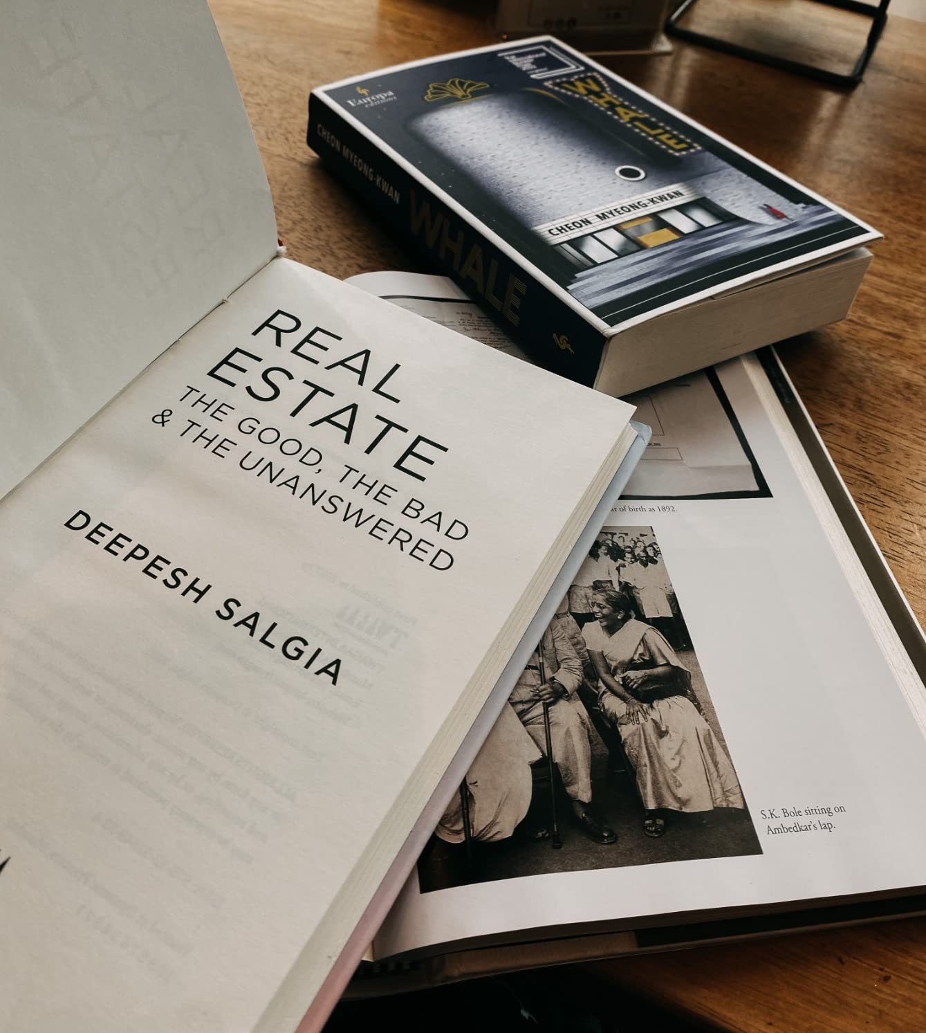 REAL ESTATE - The Good, The Bad & The Unanswered eBook : Salgia ...