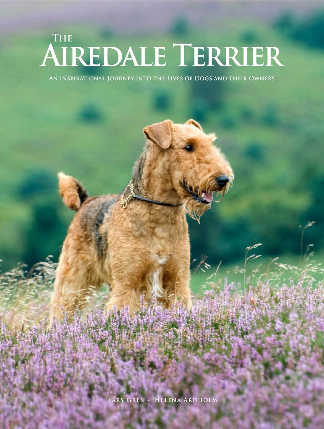 The Airedale Terrier : An Inspirational Journey into the Lives of Dogs ...
